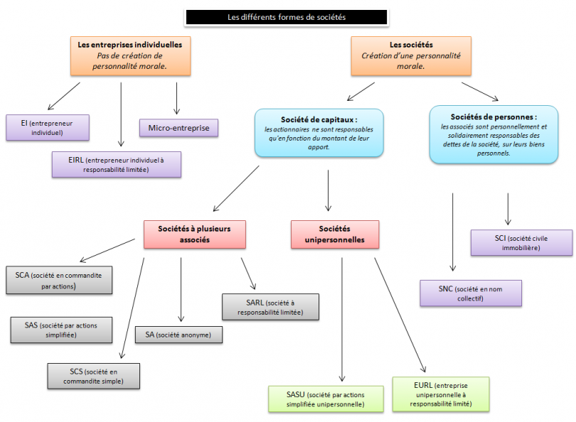 schéma-forme-sociétés - LegaLife